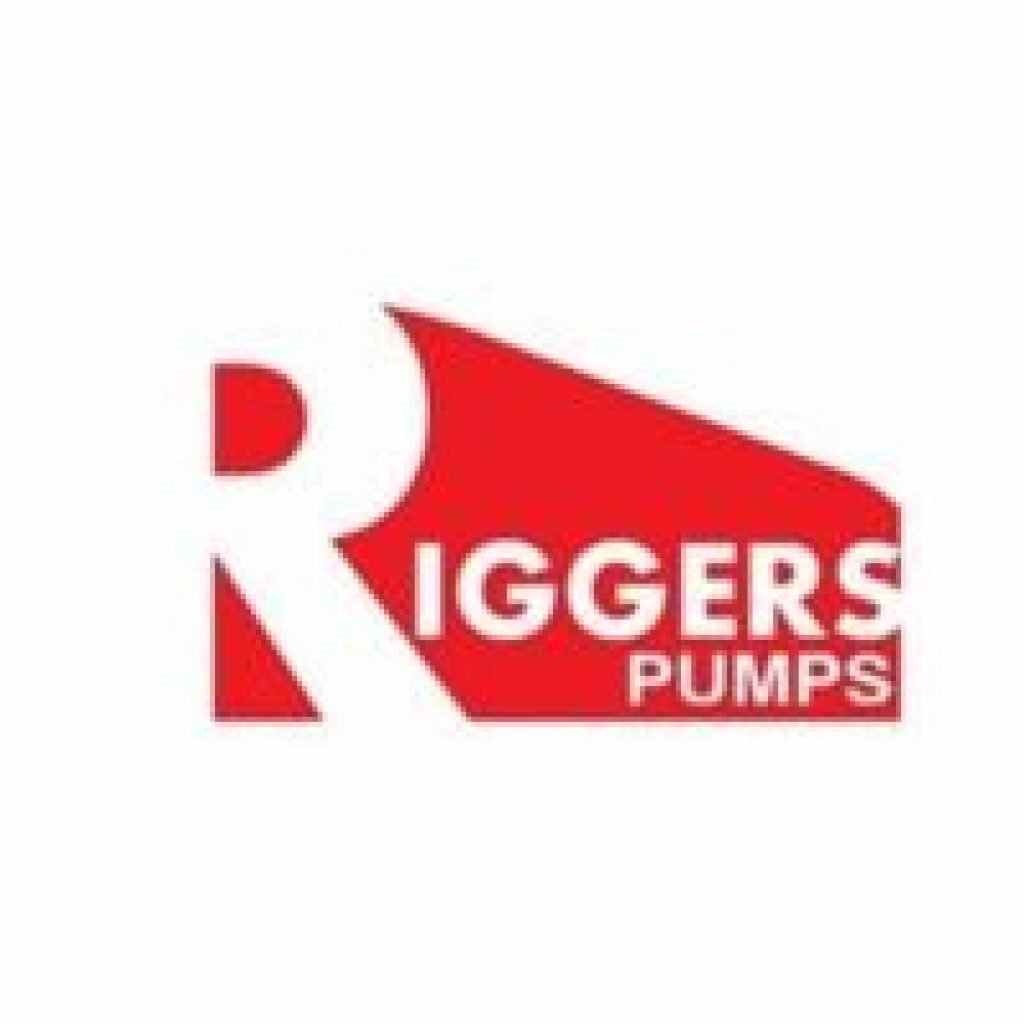 Riggers Pumps in India | Reliable Industrial Pump Solutions